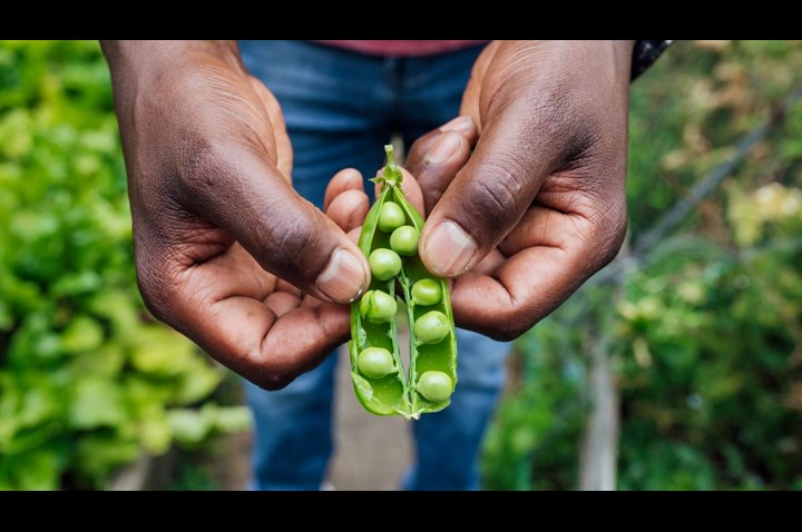 Events | Nutrition Incentive Hub