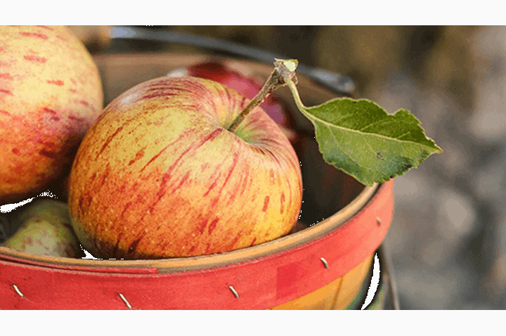 Events | Nutrition Incentive Hub