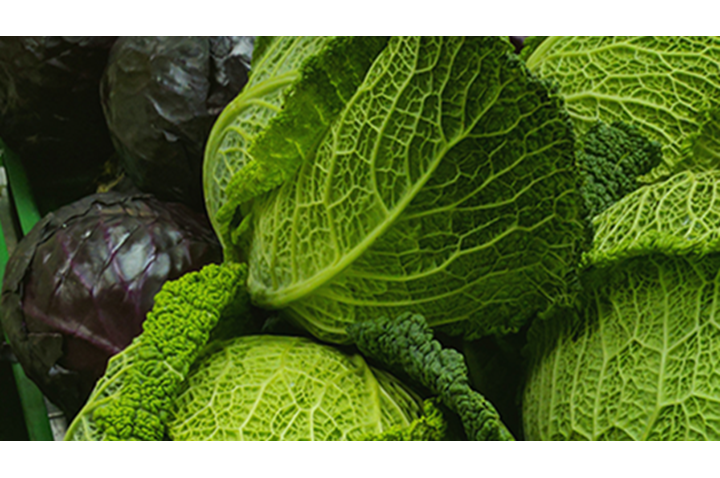 Events | Nutrition Incentive Hub